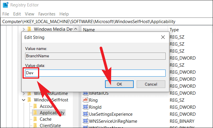How to Register for Windows 11 Dev Channel from Insider Preview Program