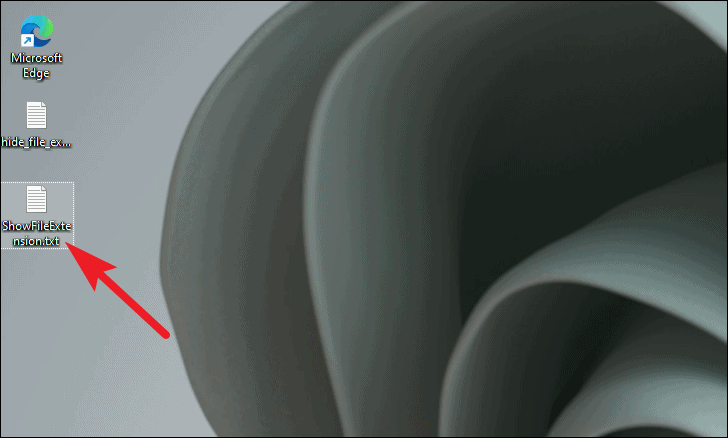 How to Show File Extension in File Explorer on Windows 11