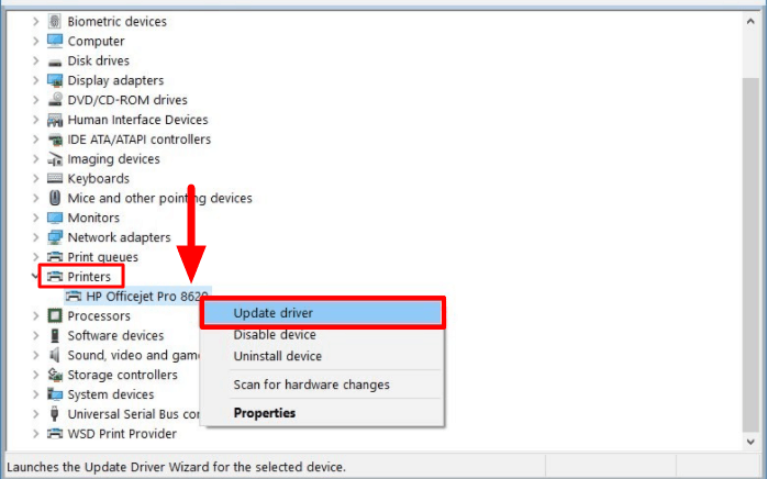 How to Find and Download Printer Driver on Windows 11
