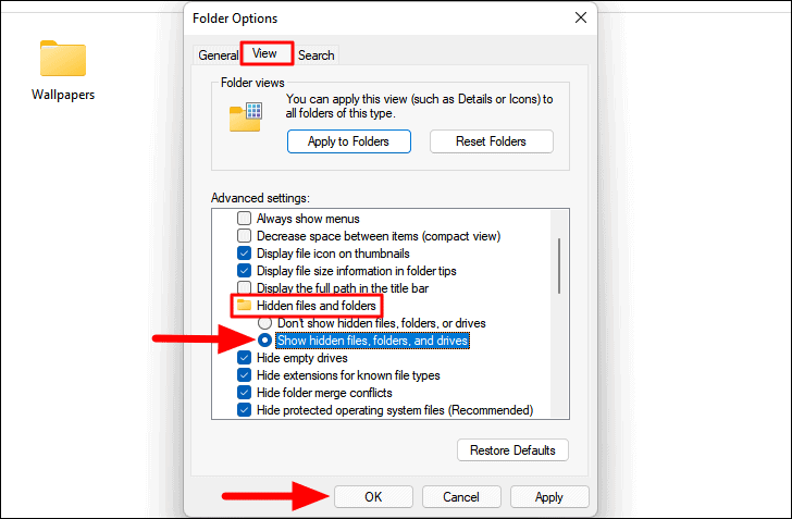 How to Show Hidden Files and Folders in Windows 11