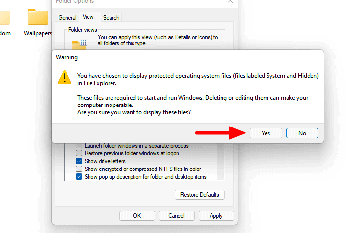 How to Show Hidden Files and Folders in Windows 11