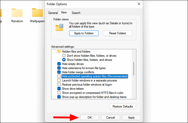 How to Show Hidden Files and Folders in Windows 11