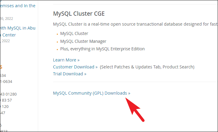 How to Install MySQL on Windows 11