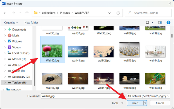 How to Change Image Color in Word, Excel, and PowerPoint