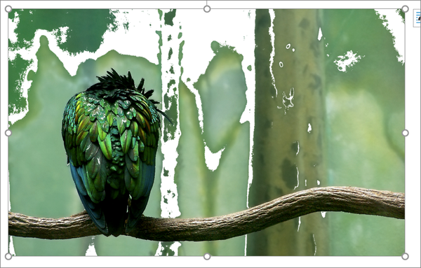 How to Change Image Color in Word, Excel, and PowerPoint