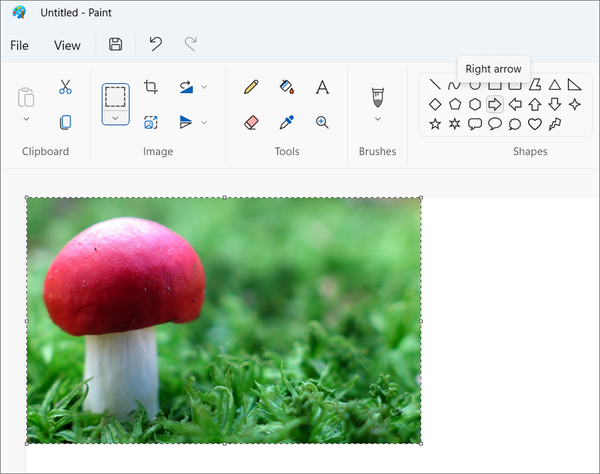 How to Change Image Color in Word, Excel, and PowerPoint