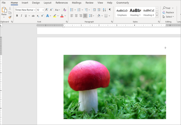 How to Change Image Color in Word, Excel, and PowerPoint