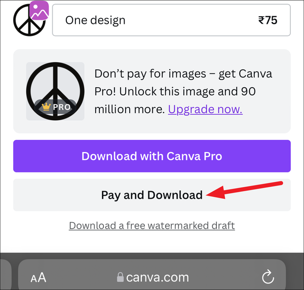 How to Download a Picture or Design from Canva