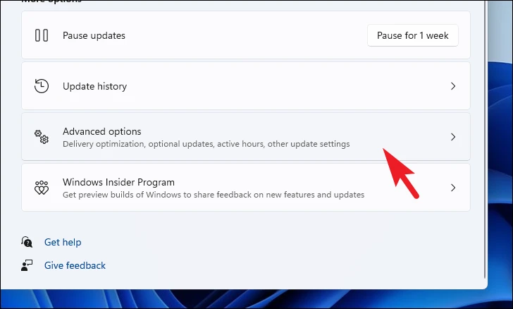 How to Download and Install HP Printer Drivers for Windows 11
