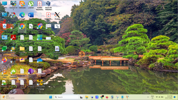 Windows 11 Screenshot Shortcuts: Everything You Need to Know