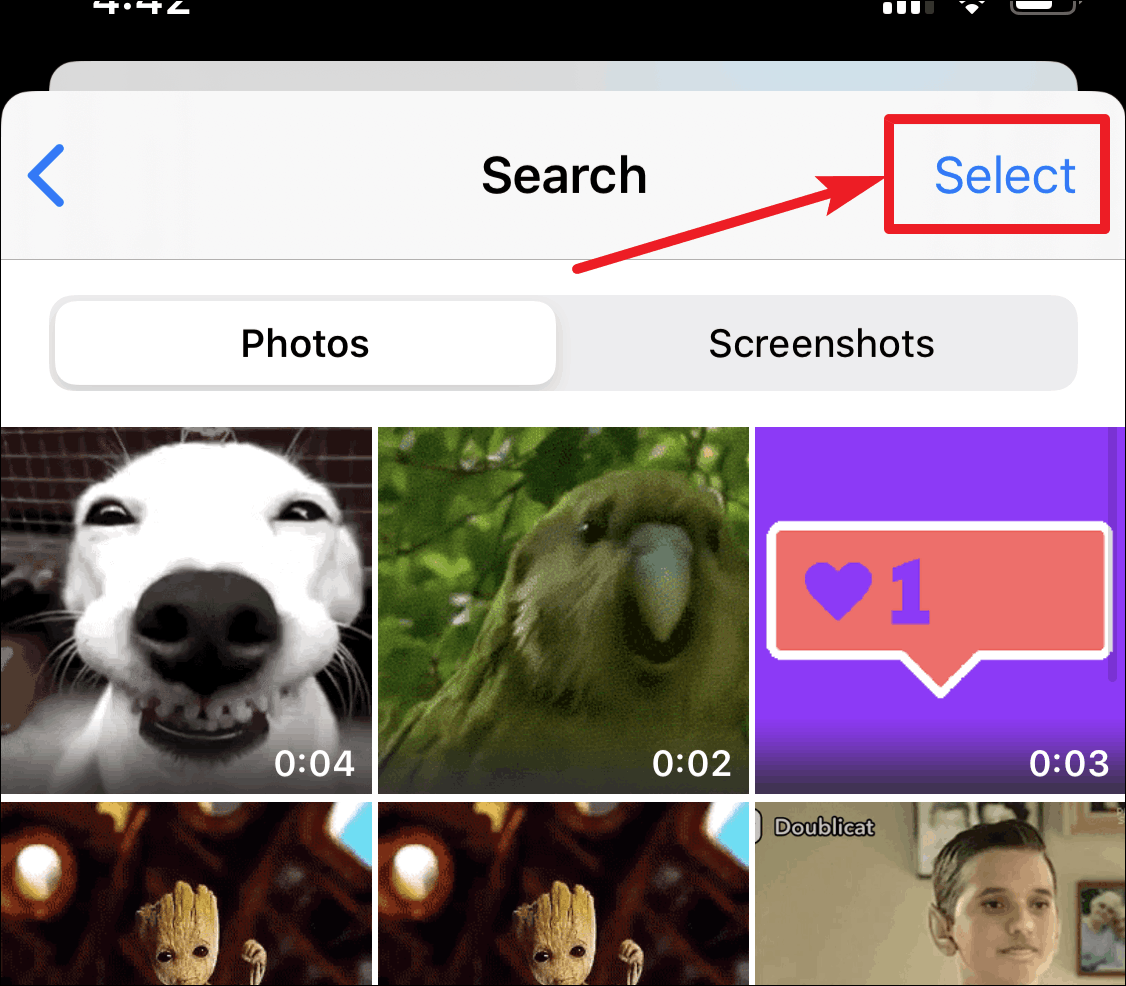 How to Save Multiple Photos from iMessage
