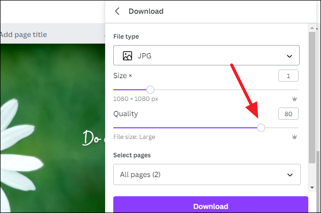 How To Download A Picture Or Design From Canva